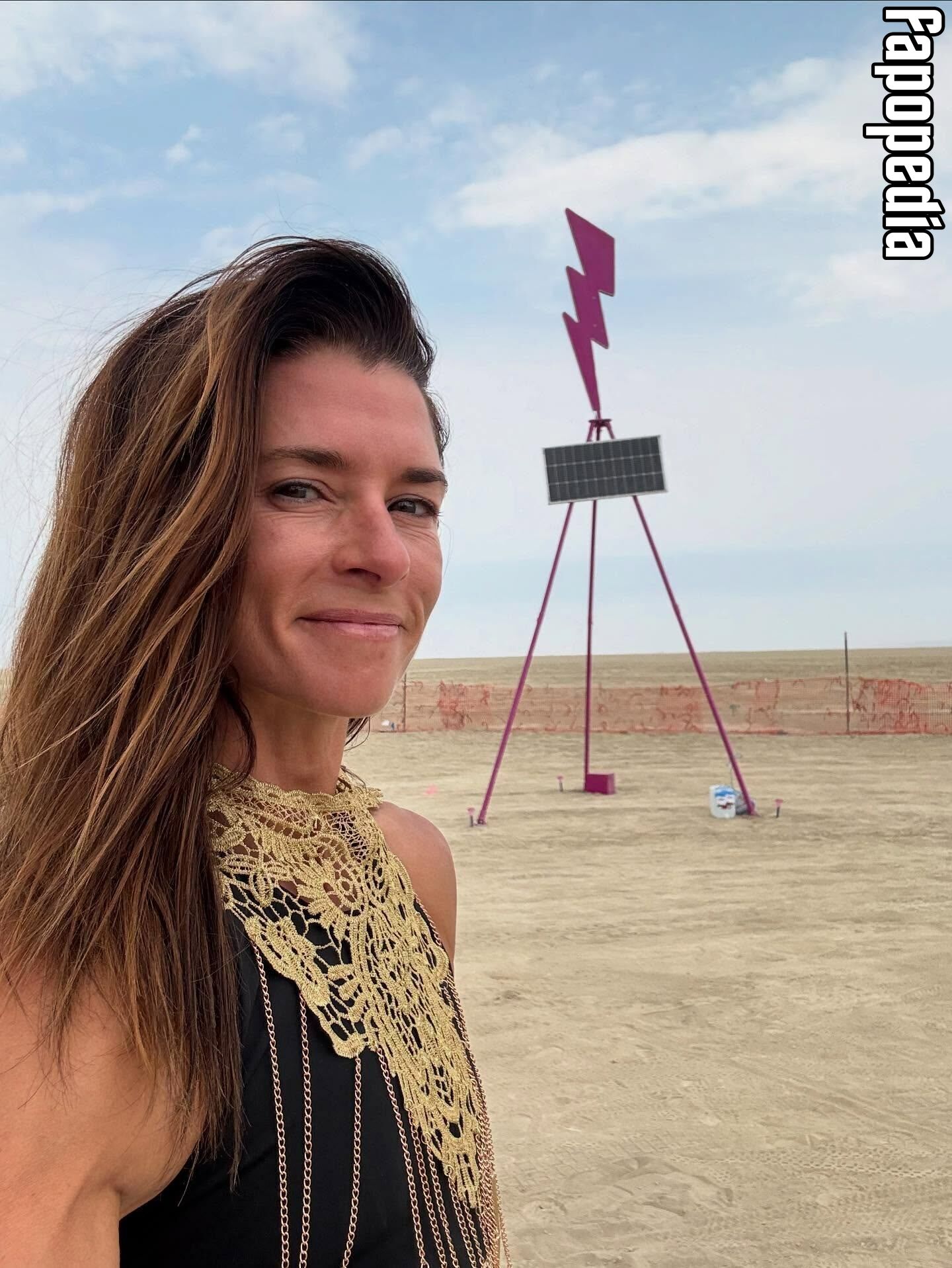 Danica Patrick Nude Leaks Photo 17645711 Fapopedia 4380